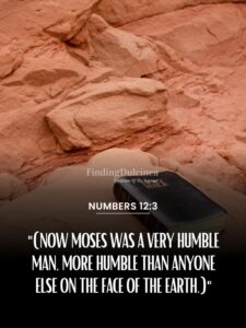 120+ Bible Verses About Pride To Keep You Grounded