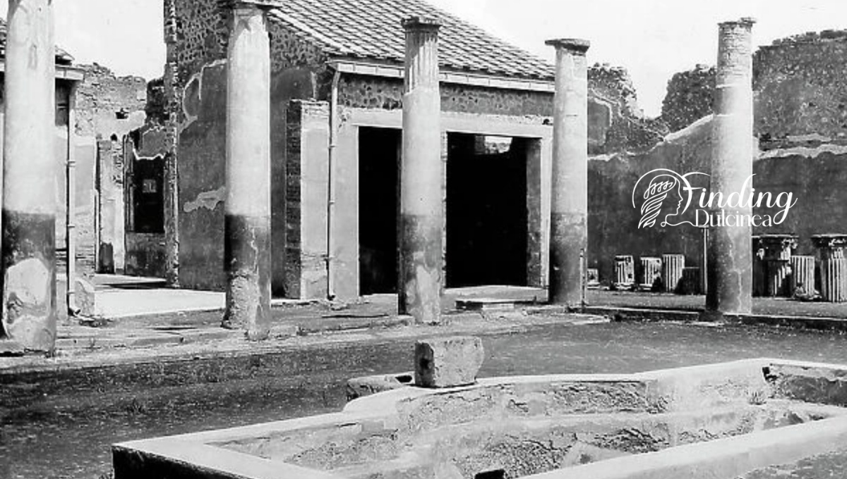 Centaurs In Greek Mythology | Origin, Tales, Role, Types