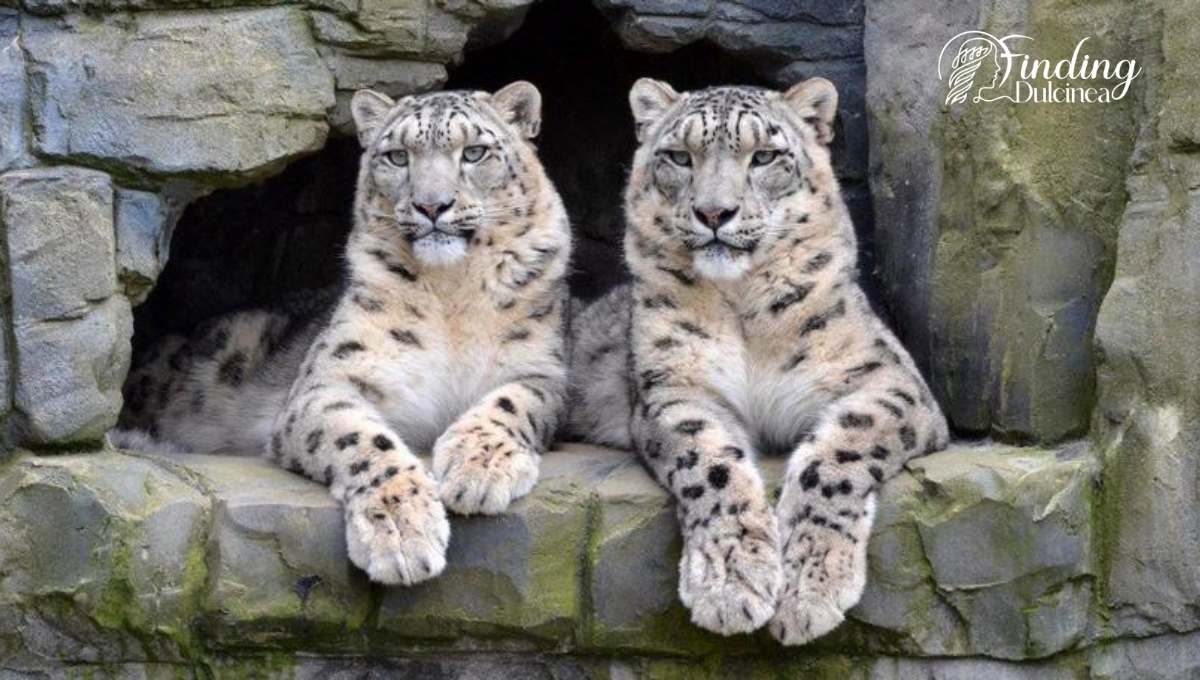 What Does Chernobyl Look Like Today? What Has Changed?