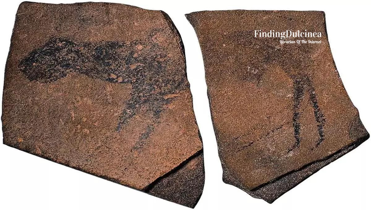 12 Mysterious Prehistoric Cave Paintings [Unexplained Past]