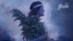 Goddess Phoebe In Greek Mythology | Titaness of Intellect