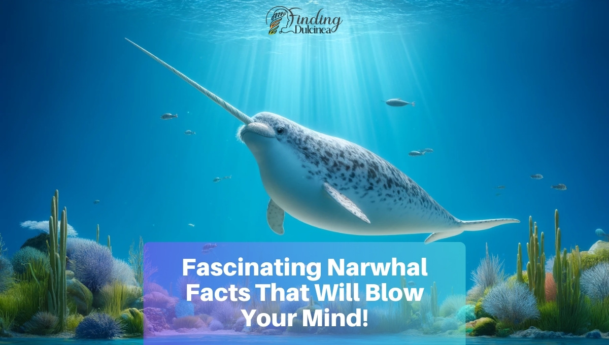 20 Fascinating Narwhal Facts That Will Blow Your Mind!
