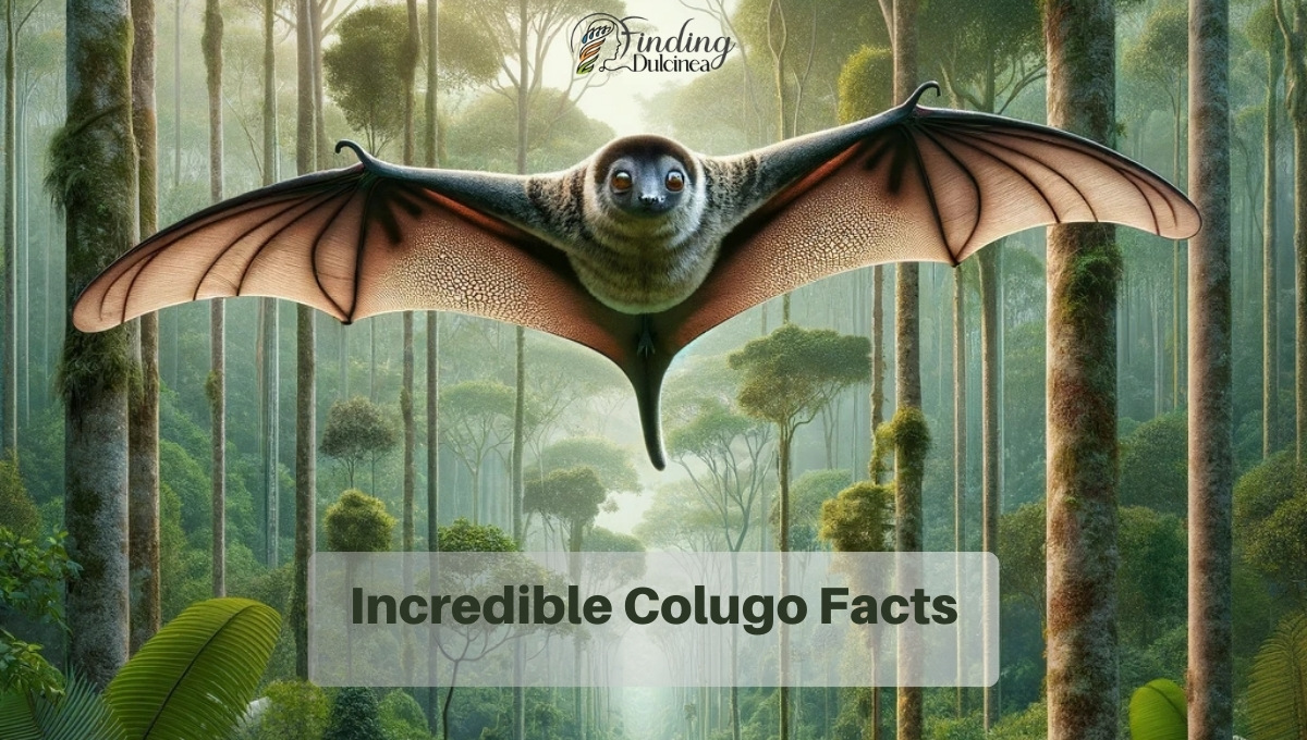 20 Incredible Colugo Facts: Discover This Amazing Creature
