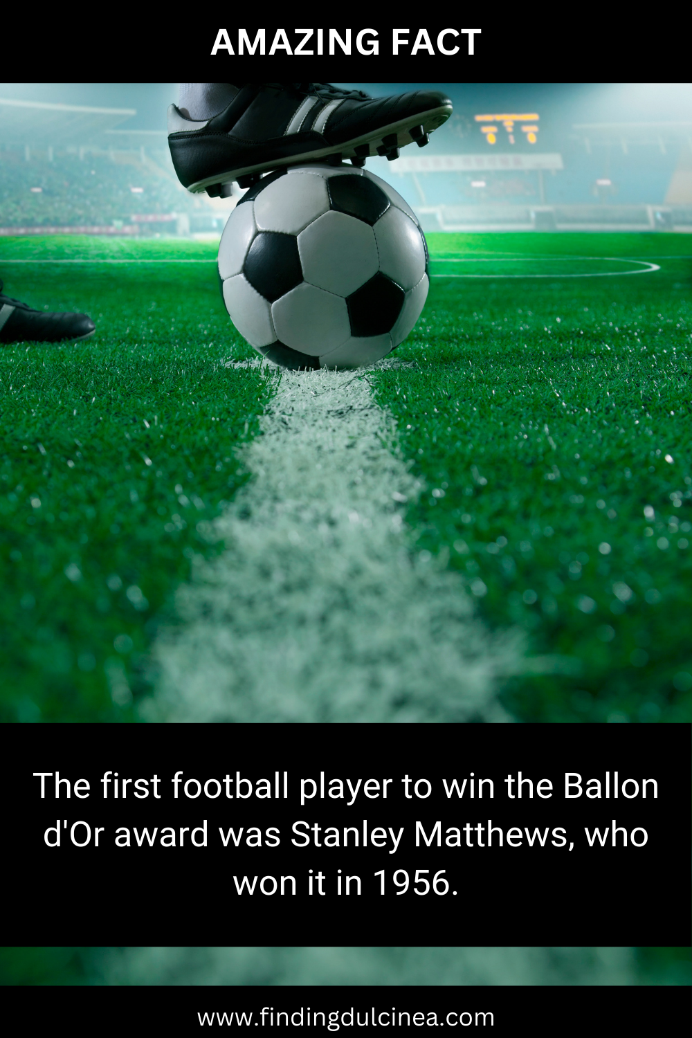 26 Surprising Football Facts That’ll Stun You
