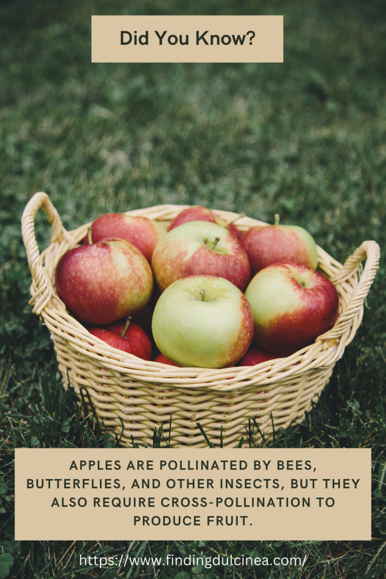 25 Fascinating Facts About Apple You’ll Love to Know