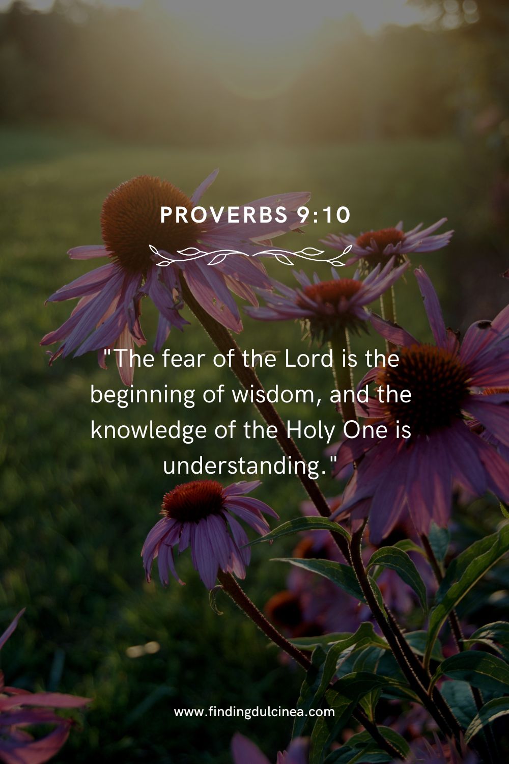 10+ Bible Verses About Serving Others & Spreading Love