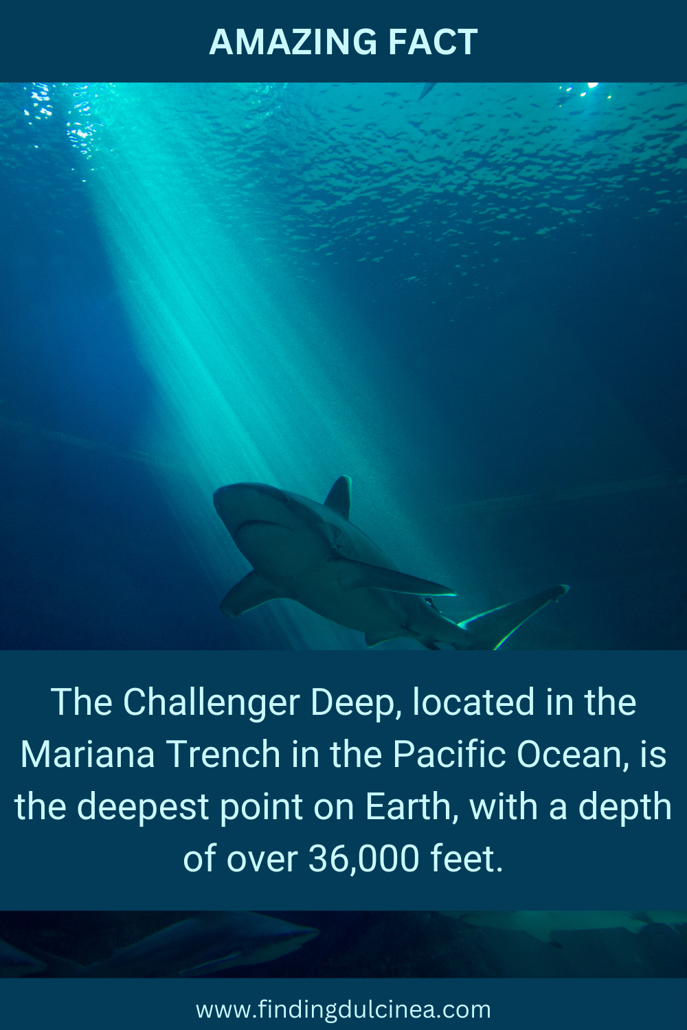 25 Crazy Ocean Facts That’ll Make You Rethink the Sea