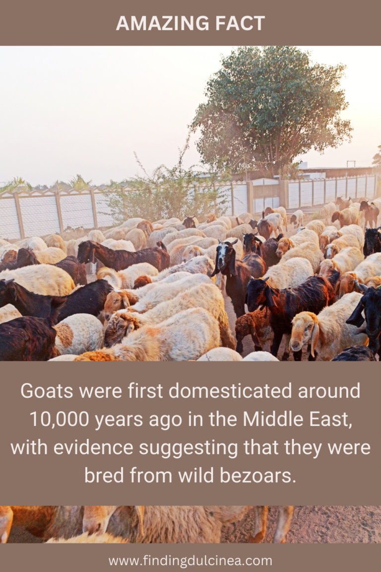 20+ Captivating Domestication Facts That’ll Amaze You