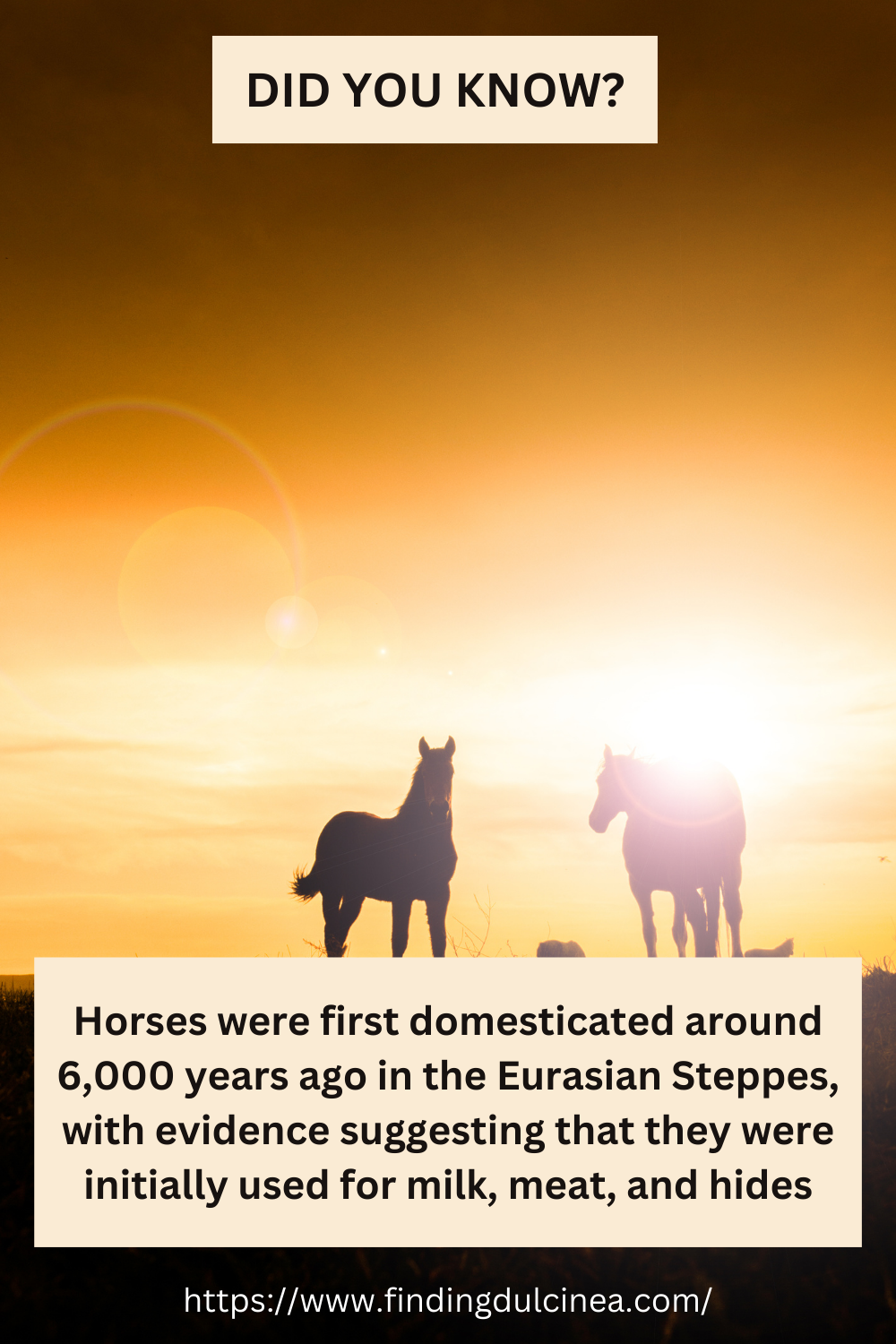 20+ Captivating Domestication Facts That’ll Amaze You