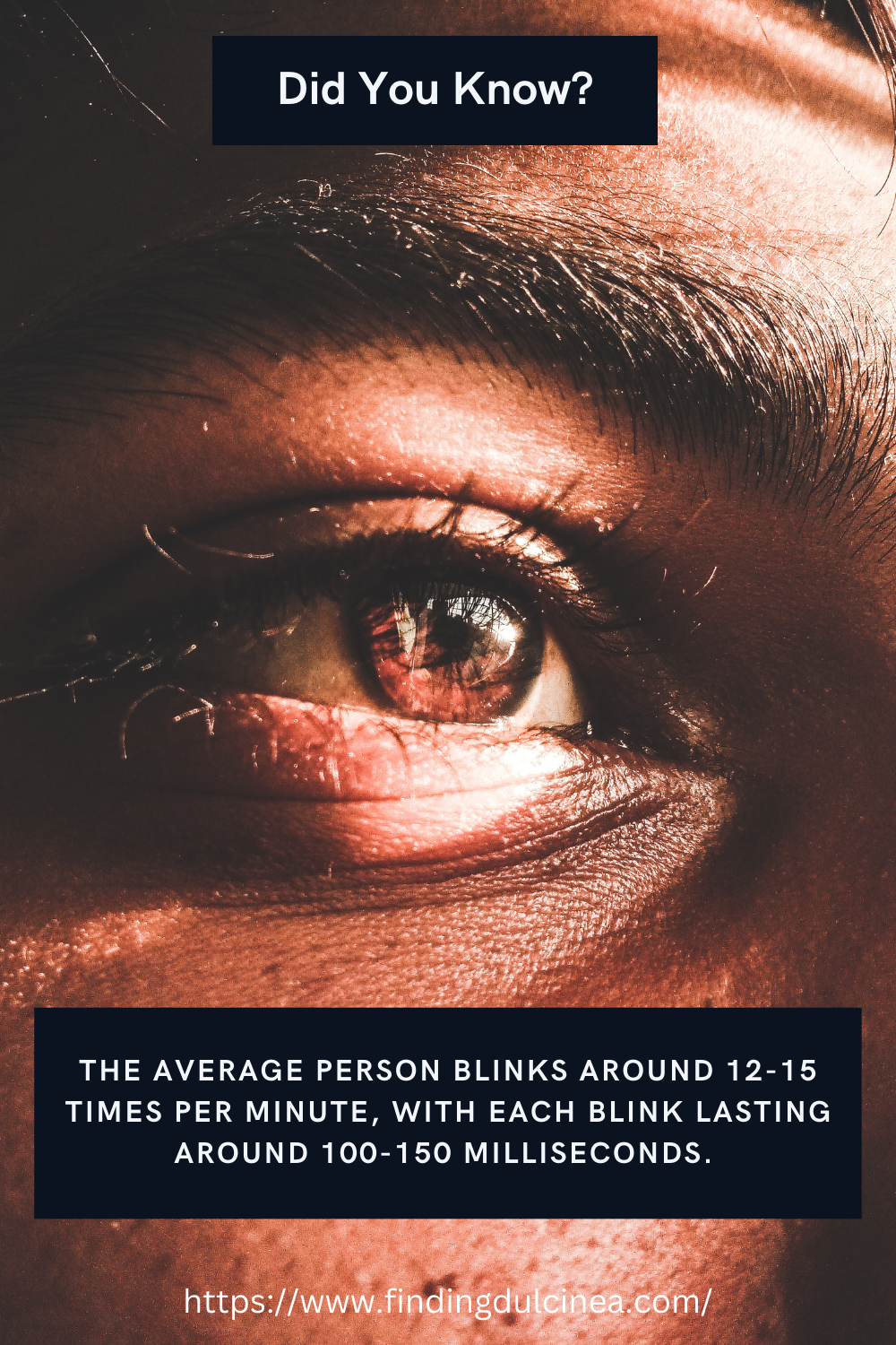 30 Eye Facts That Will Blow Your Mind