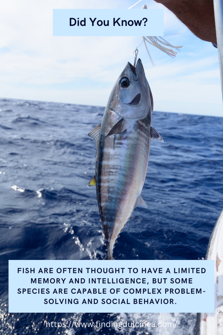 30 Fun Facts About Fish That Are Amazing