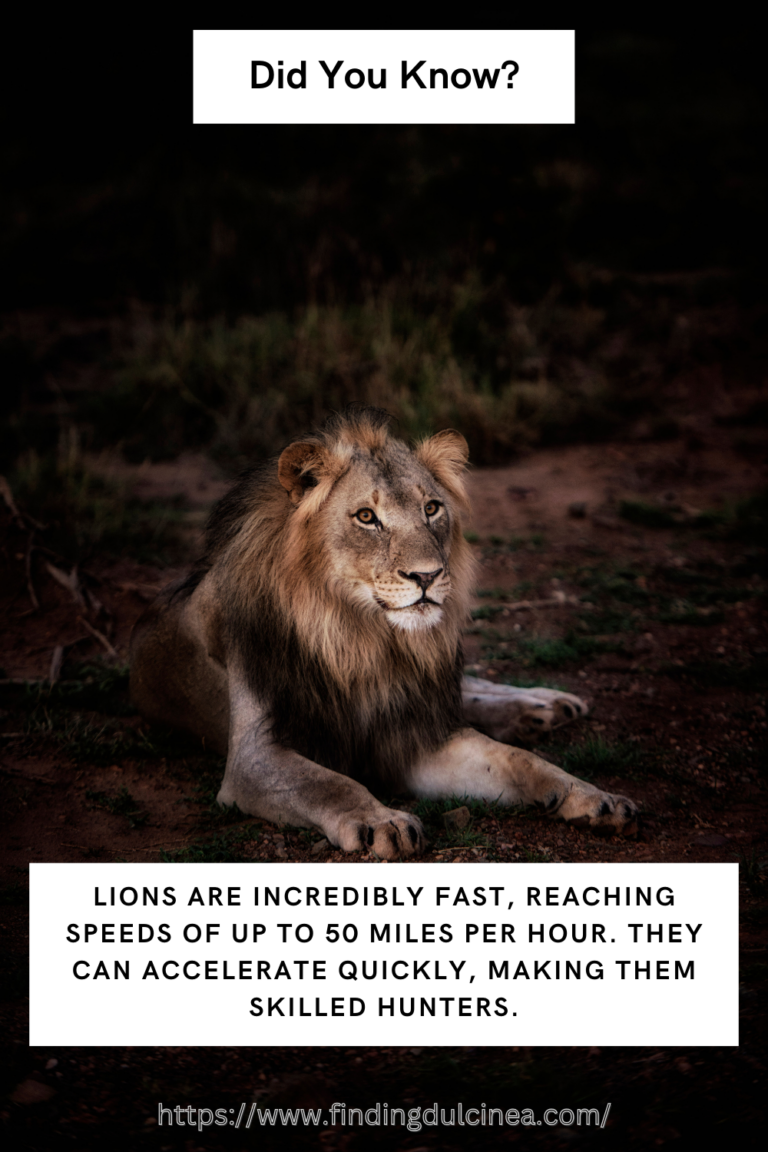 25 Facts About Lions That Roar With Excitement