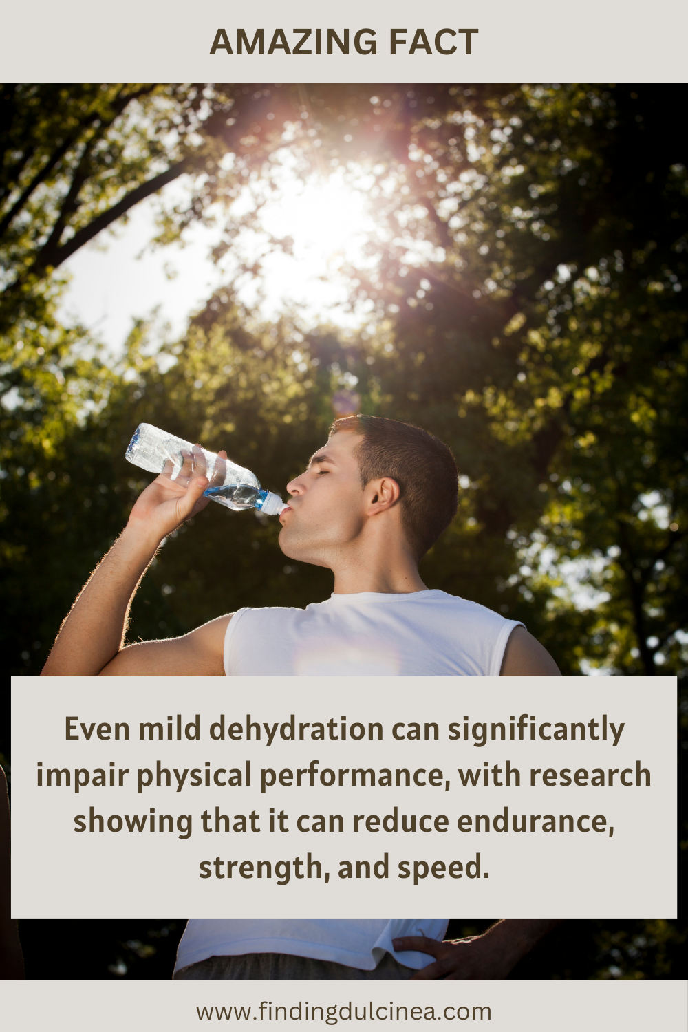 20+ Facts About Nutrition & Fitness You Can’t Ignore