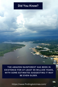 25+ Must-Know Facts About the Amazon Rainforest