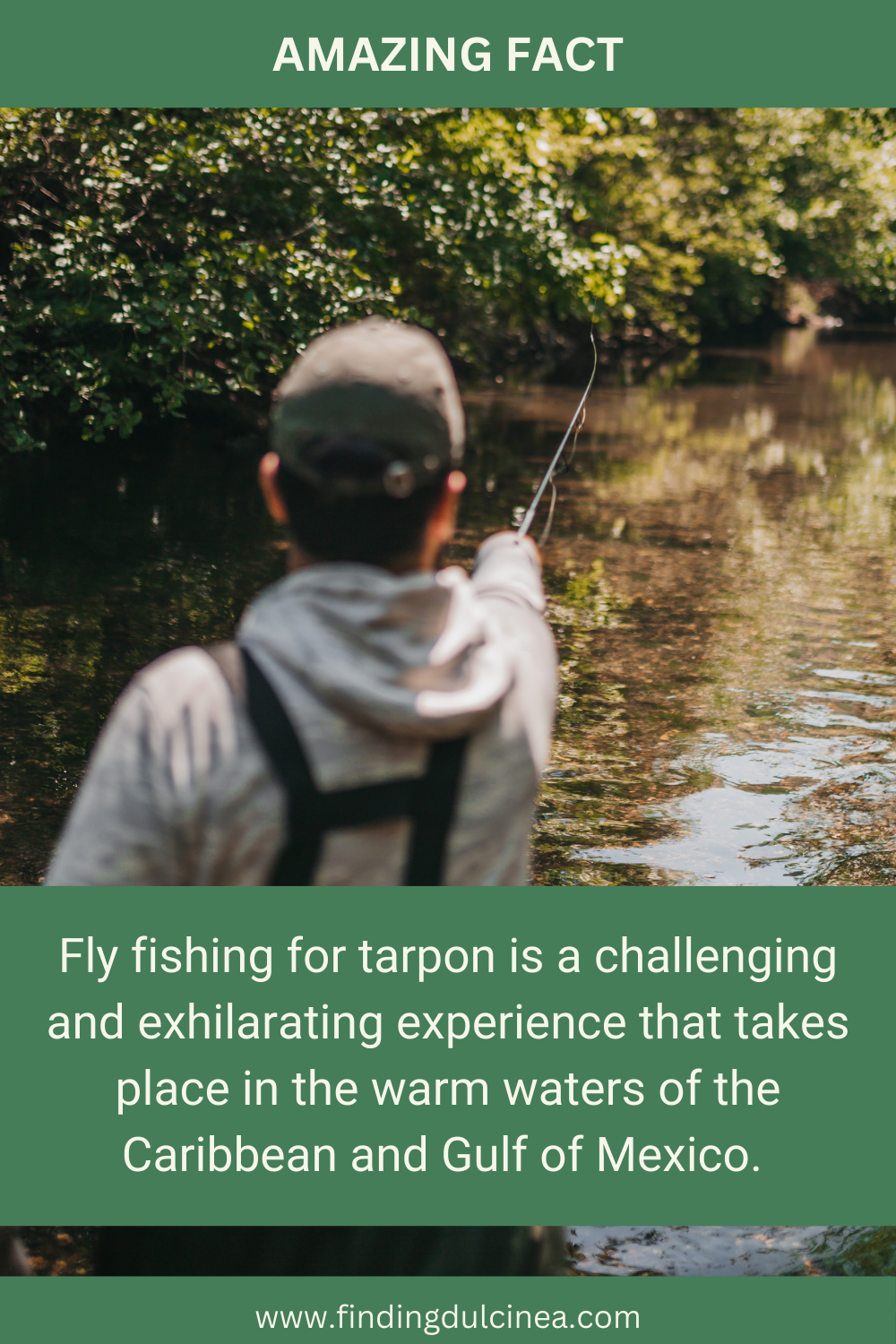 25+ Fishing Facts That Will Blow Your Mind