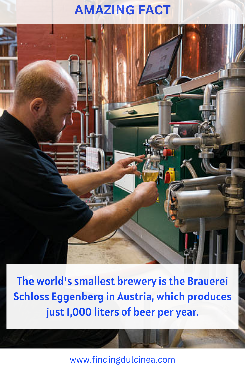 30+ Fun Beer Facts That’ll Blow Your Mind