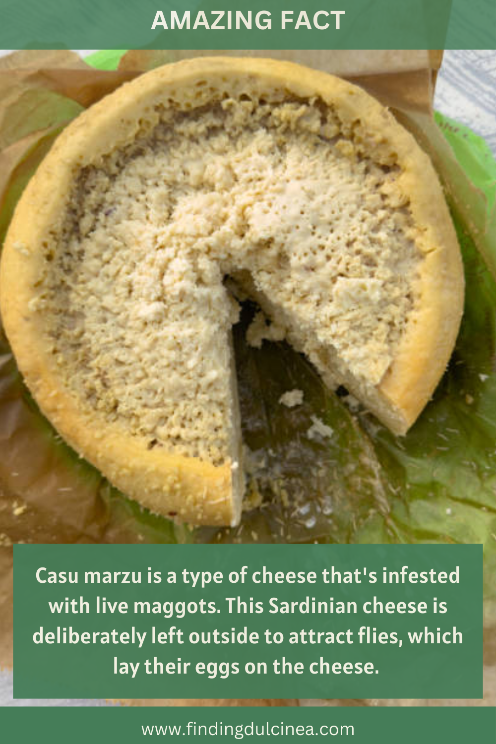 25 Fun Food Facts That’ll Make You Hungry for More