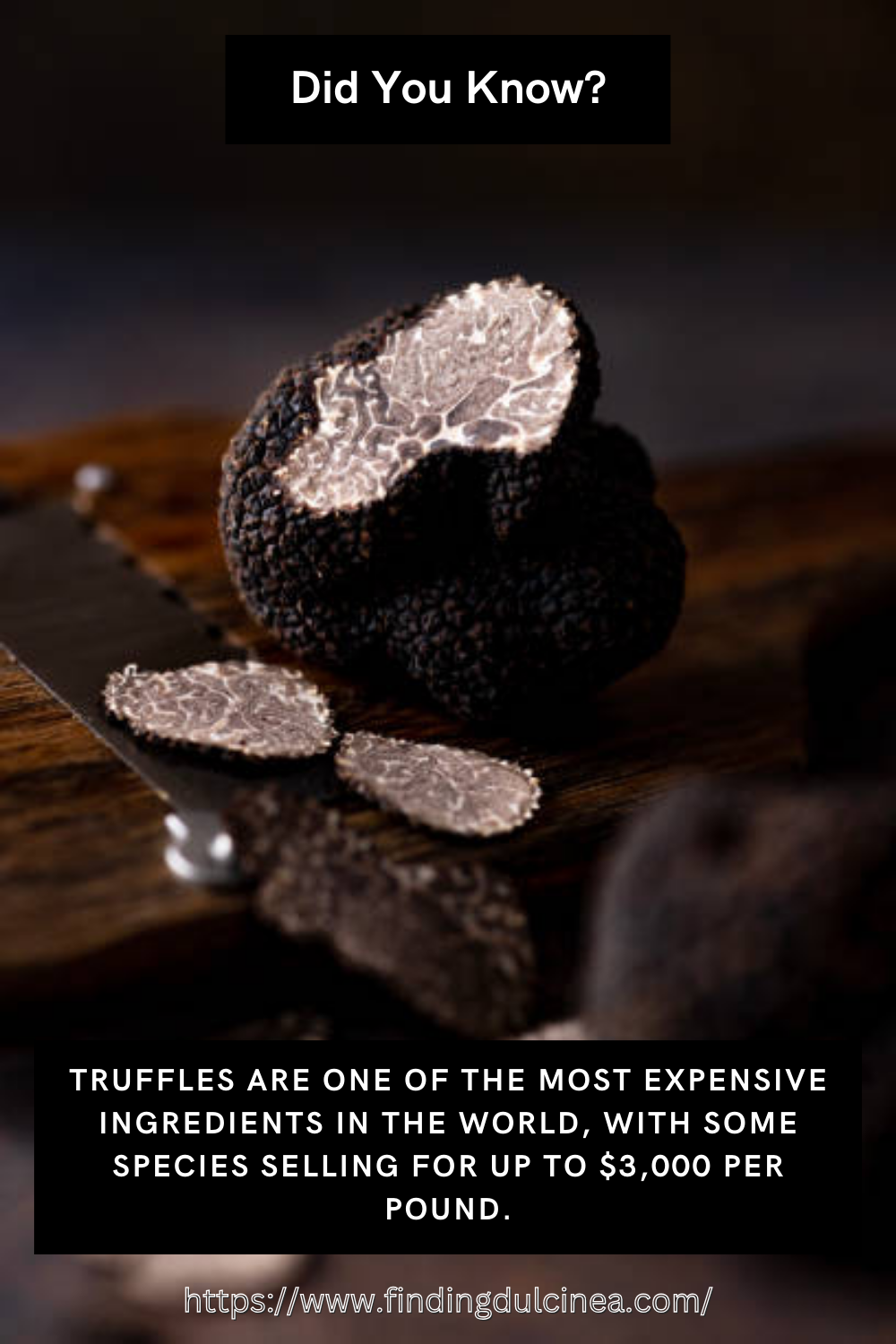 25 Fun Food Facts That’ll Make You Hungry for More