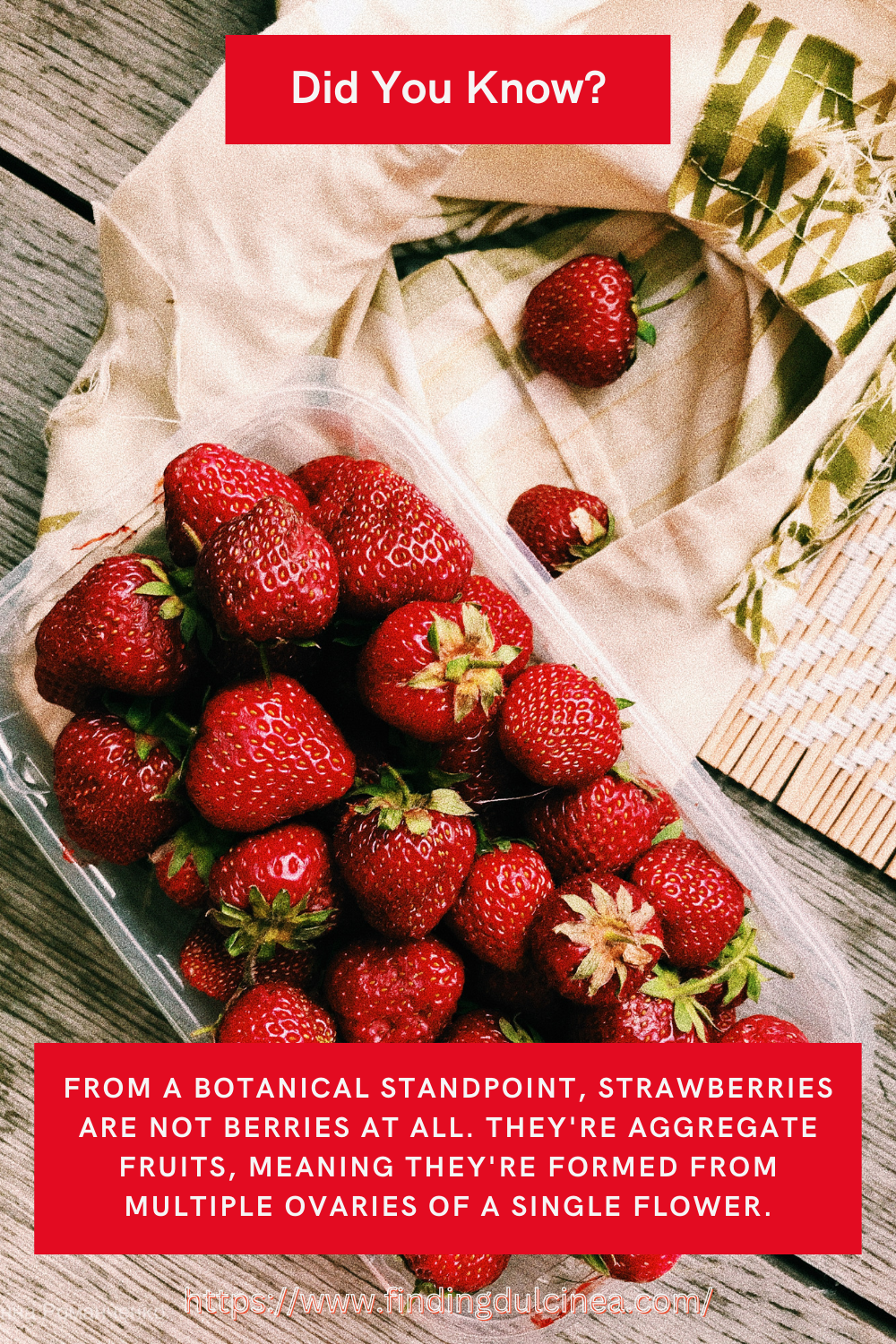 30 Fun Fruit Facts You’ll Want to Share Instantly
