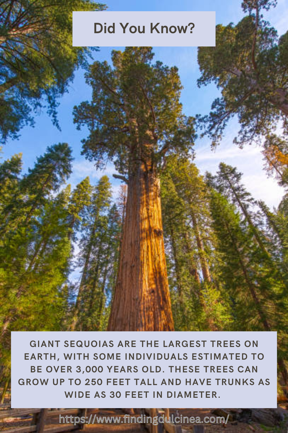 Wildlife Wonders: 30 Cool Facts About Flora & Fauna