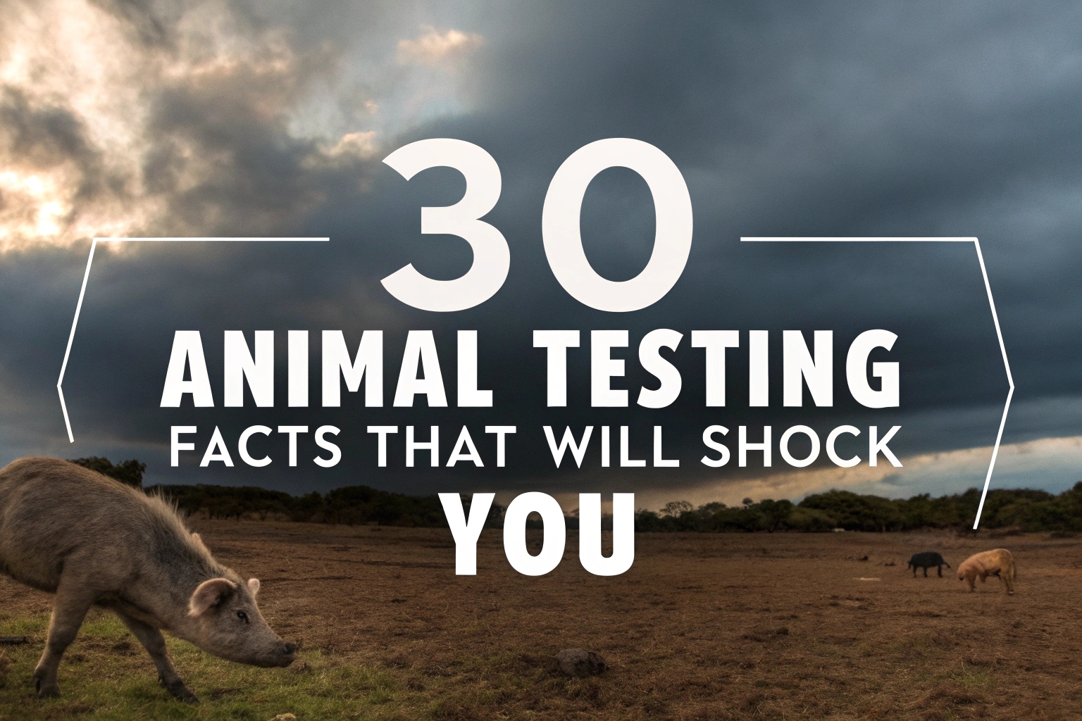 30 Animal Testing Facts That Will Shock You