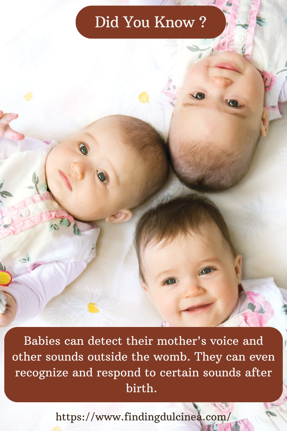 20 Baby Facts Every Parent Should Know