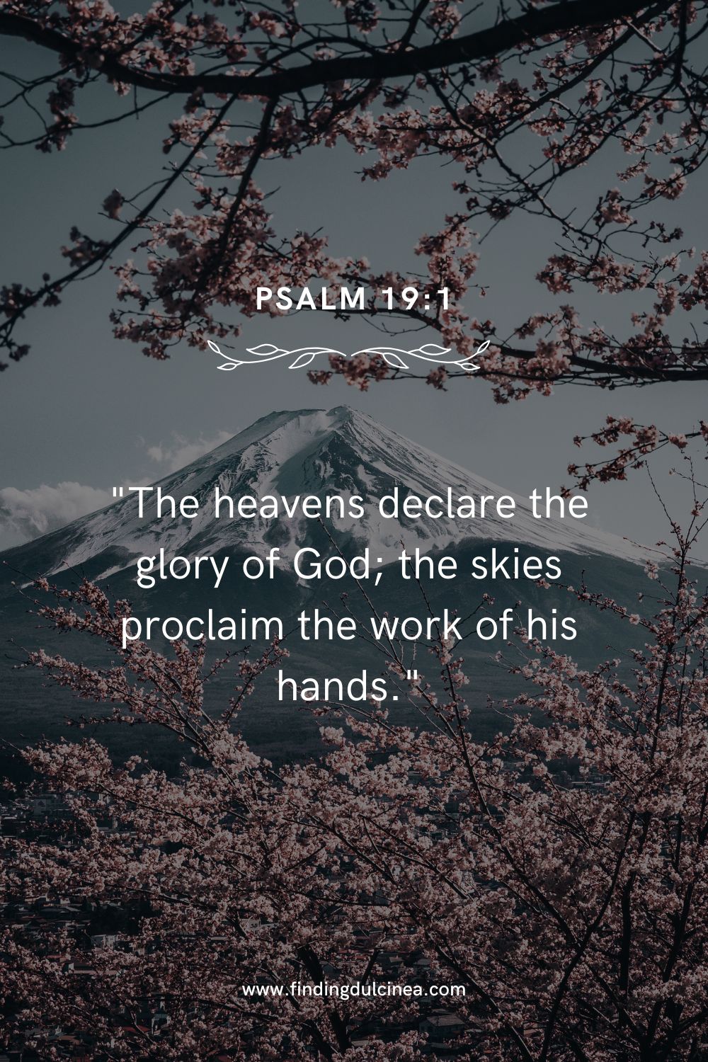 7+ Bible Verses About God’s Creation That Will Inspire You