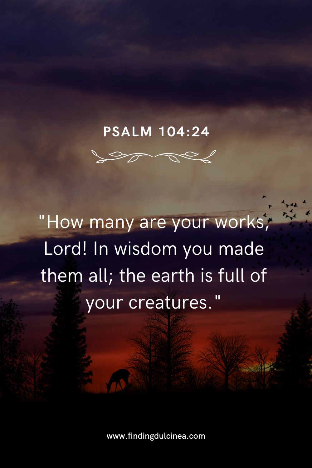 7+ Bible Verses About God’s Creation That Will Inspire You