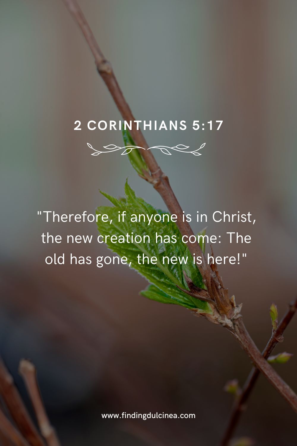 7+ Bible Verses About New Beginnings for a Fresh Start