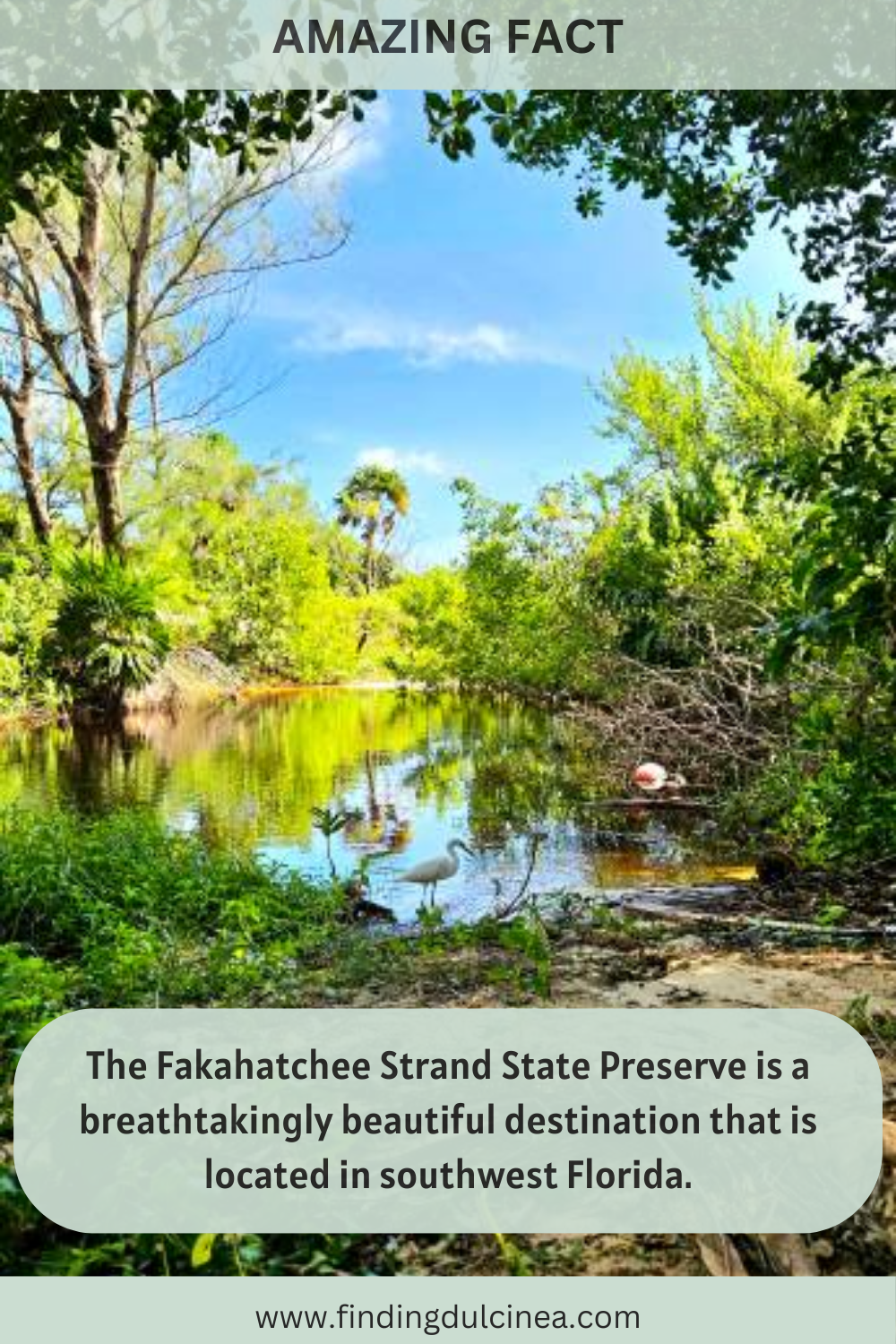 30 Crazy Facts About Florida You Need to See!