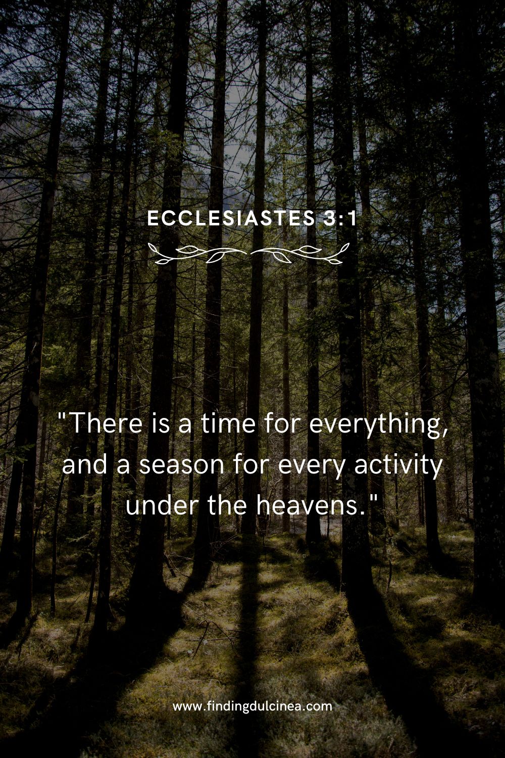 7+ Small Bible Verses to Uplift & Inspire Your Day