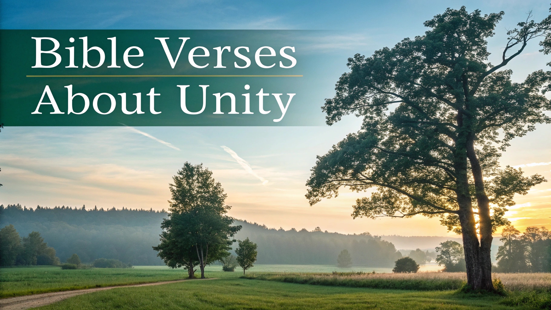 7+ Bible Verses About Unity That Will Inspire You Today