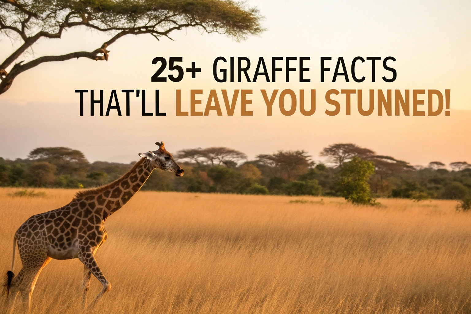 25+ Giraffe Facts That’ll Leave You Stunned!