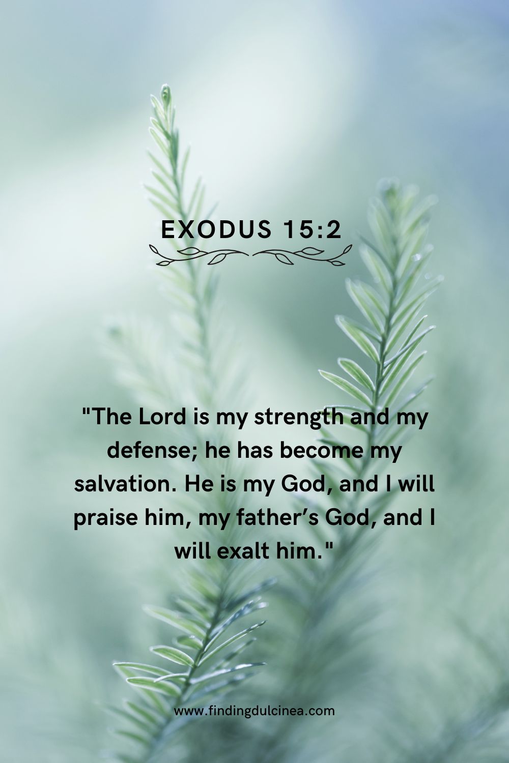 17+ Powerful Bible Verses on Strength You Need Today!