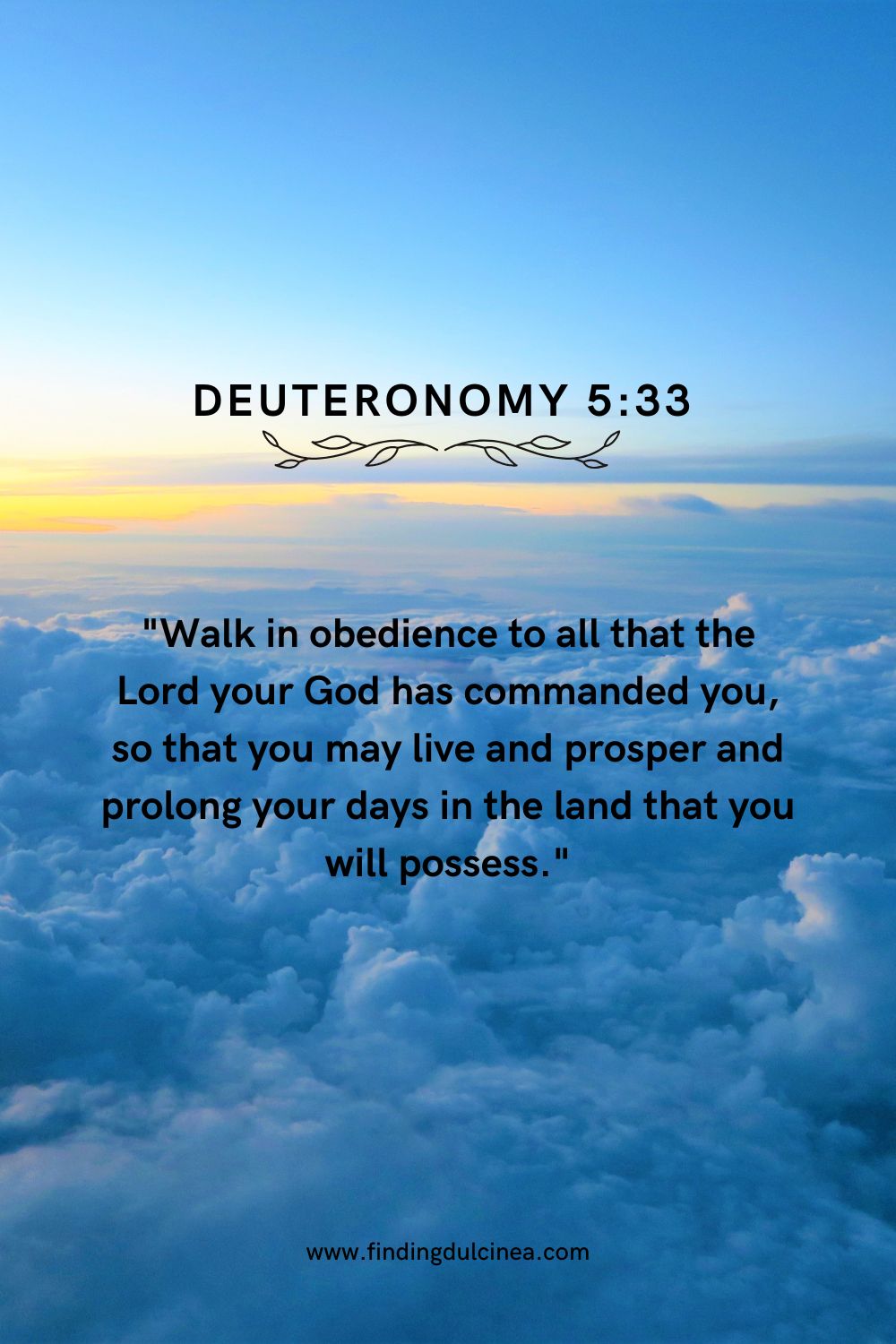 10+ Bible Verse for Guidance That Will Illuminate Your Path