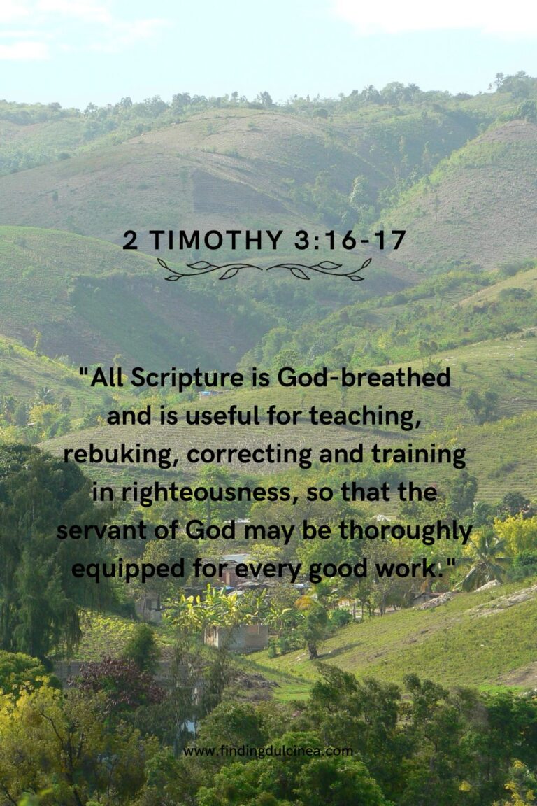 15+ Bible Verse for Teacher Appreciation to Honor & Inspire Educators