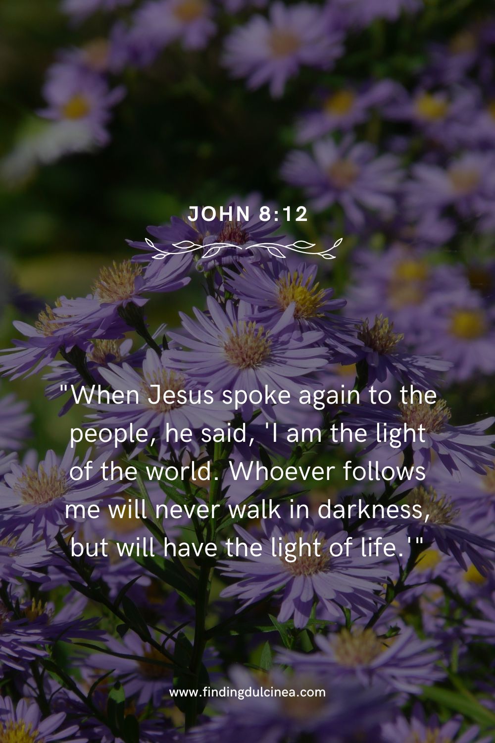 7+ Bible Verses About Life That Will Inspire & Strengthen Your Faith