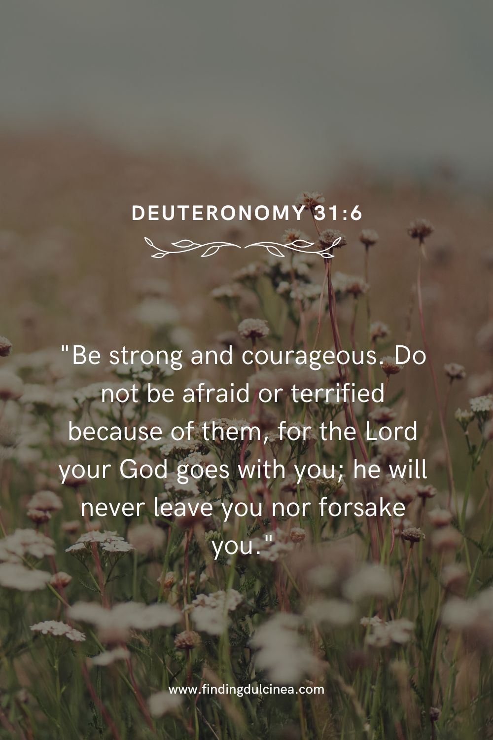 10+ Bible Verses About Not Giving Up – Find Strength in God's Word!