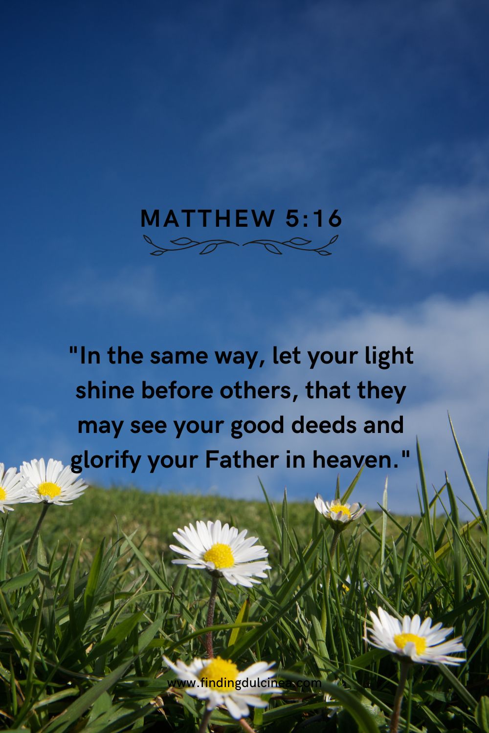 12+ Bible Verses for Business Owners to Inspire Success & Growth