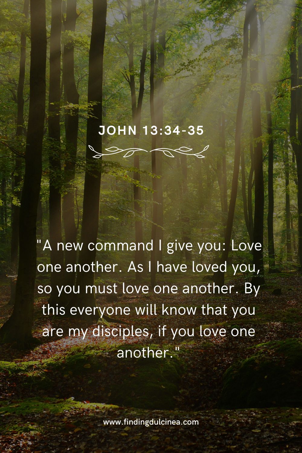 16+ John Bible Verses That Will Transform Your Faith Journey Today!