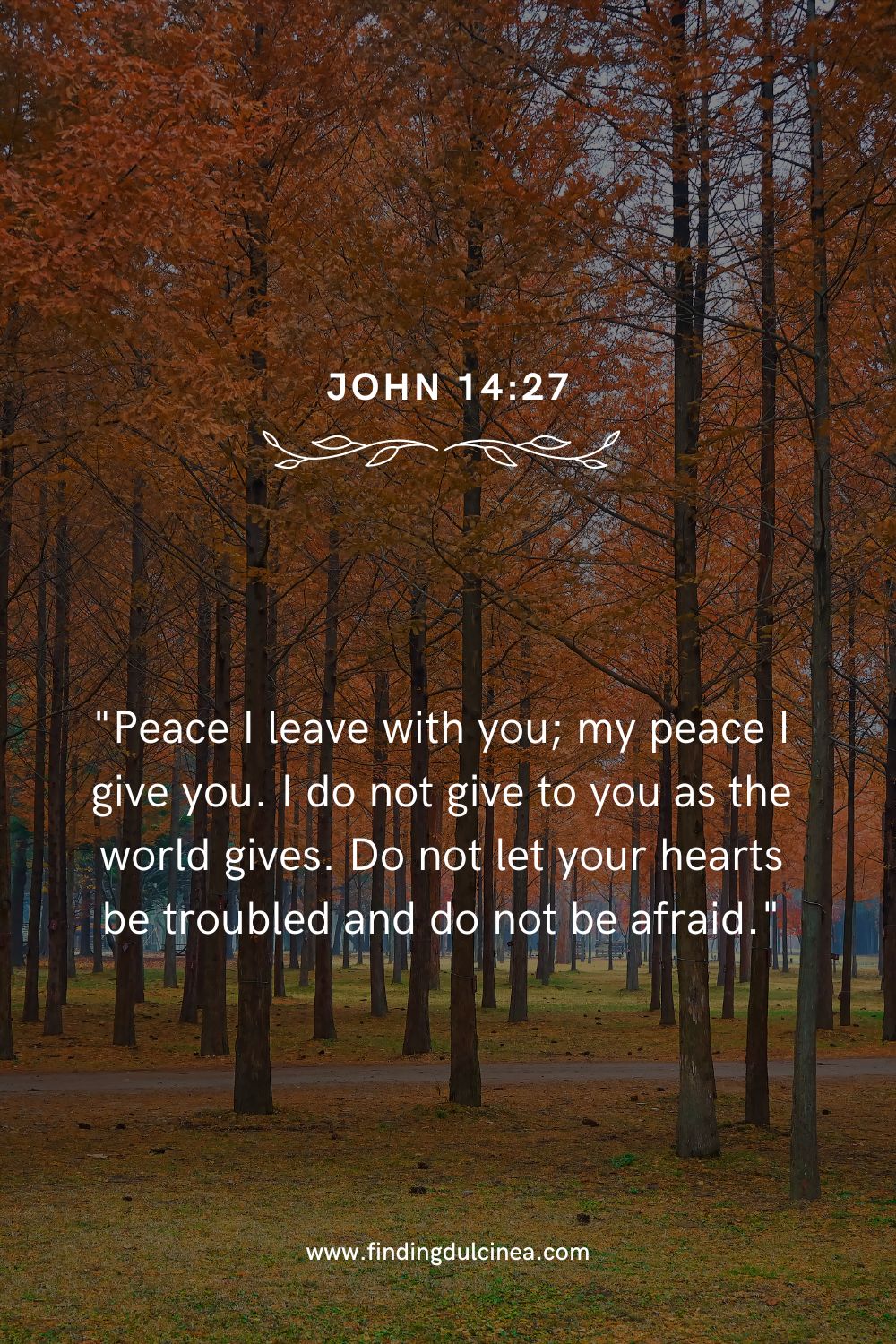 11+ Unique Bible Verses That Will Inspire and Strengthen Your Faith