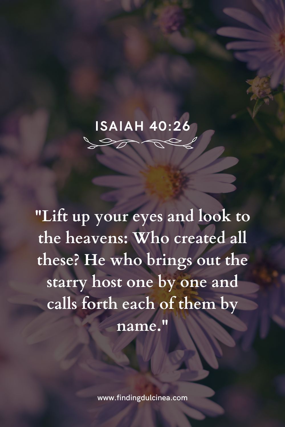 23 Bible Verses for Cool Summer Nights to Lift You Up