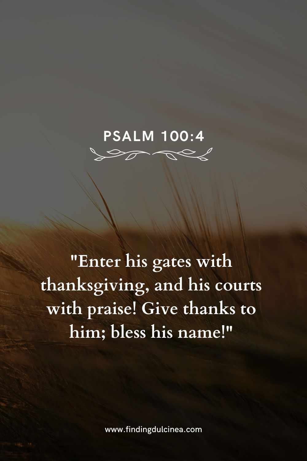 20 Joyful Bible Verses for Festive Gatherings & Summer Fun Tips