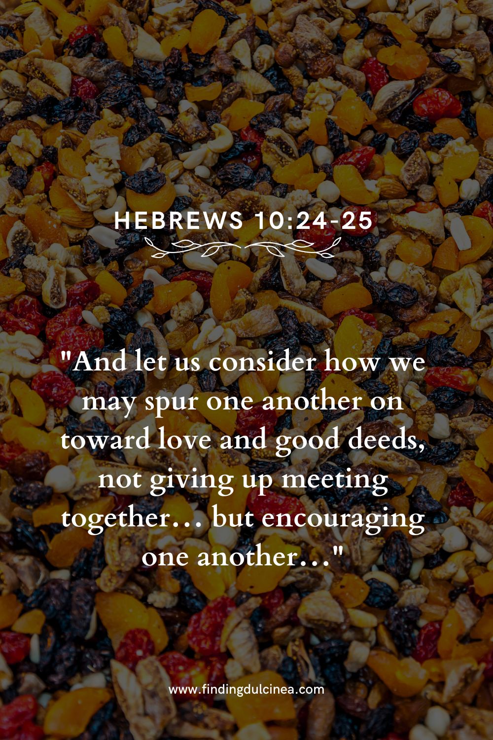 16+ Brief Verses for National Trail Mix Day You’ll Love