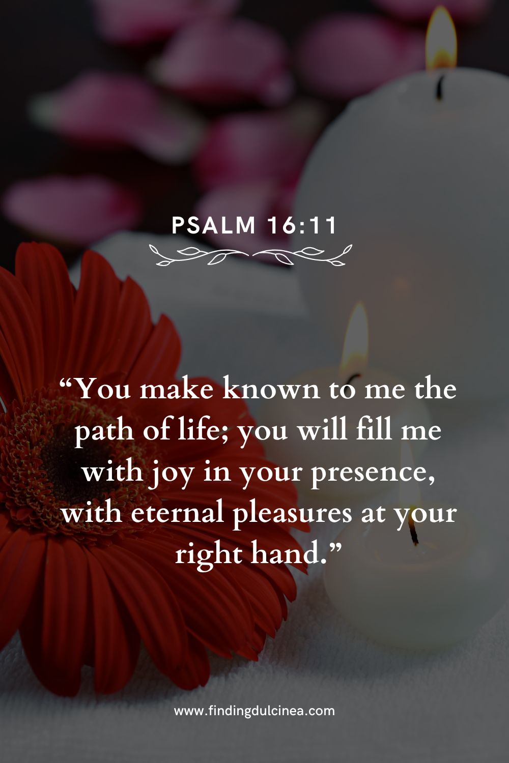 19+ Inspirational Verses for National Relaxation Day You Need Today