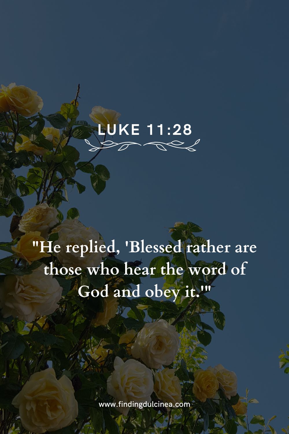 18 Luke Bible Verses That Unlock Powerful Life Lessons