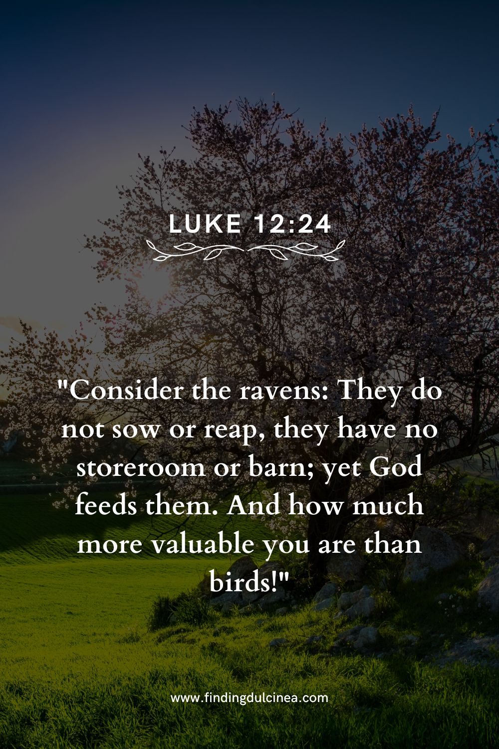18 Luke Bible Verses That Unlock Powerful Life Lessons