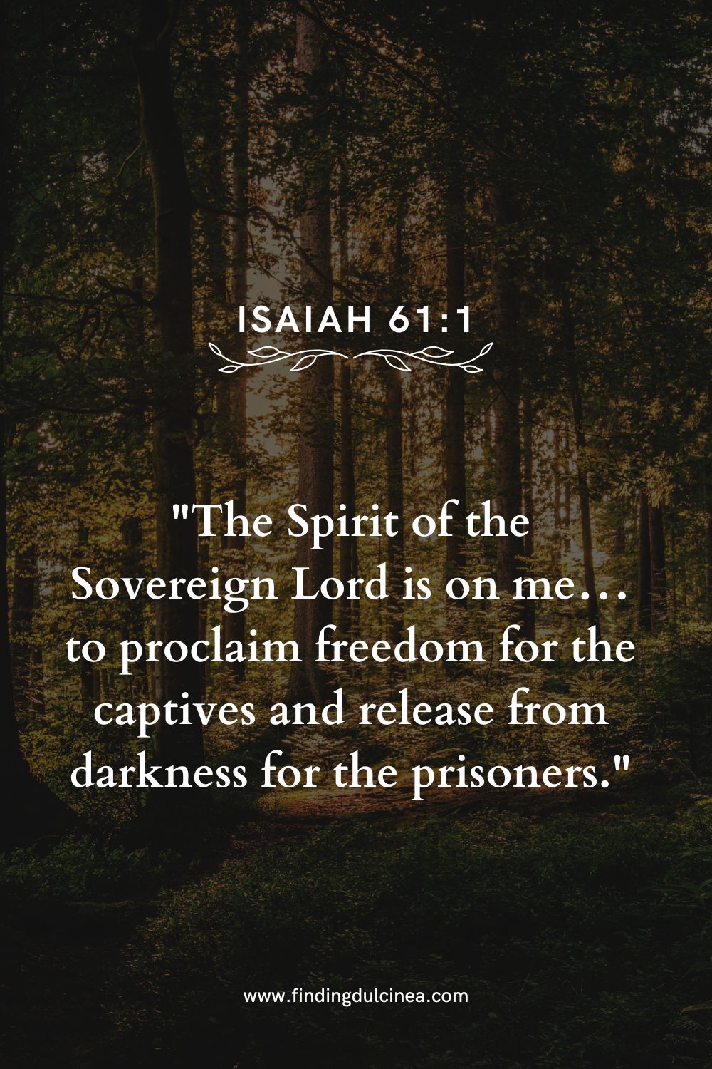 26 Bible Verse About Freedom and God's Deliverance