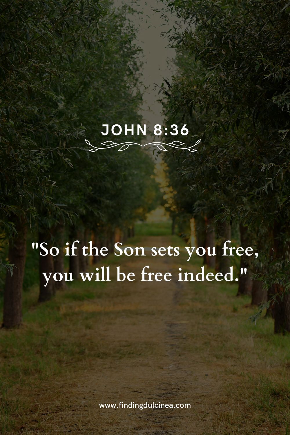 26 Bible Verse About Freedom and God's Deliverance