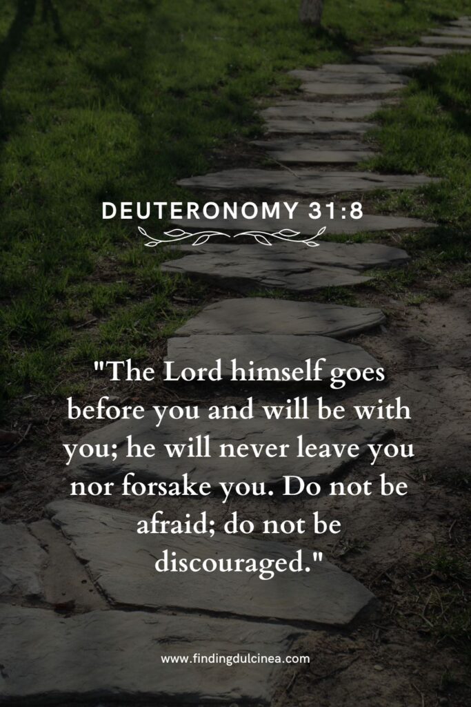 16 Bible Verse About Your Path to Guide Every Step